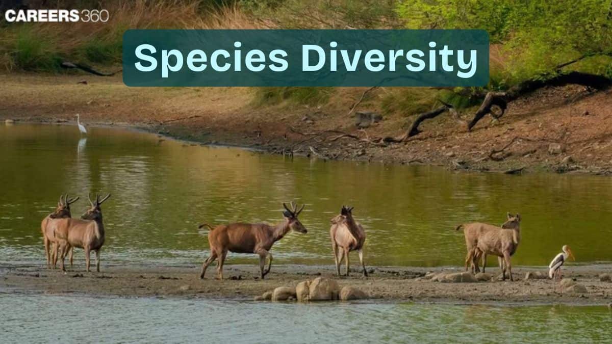 Species Diversity: Definition, Importance & NEET Notes