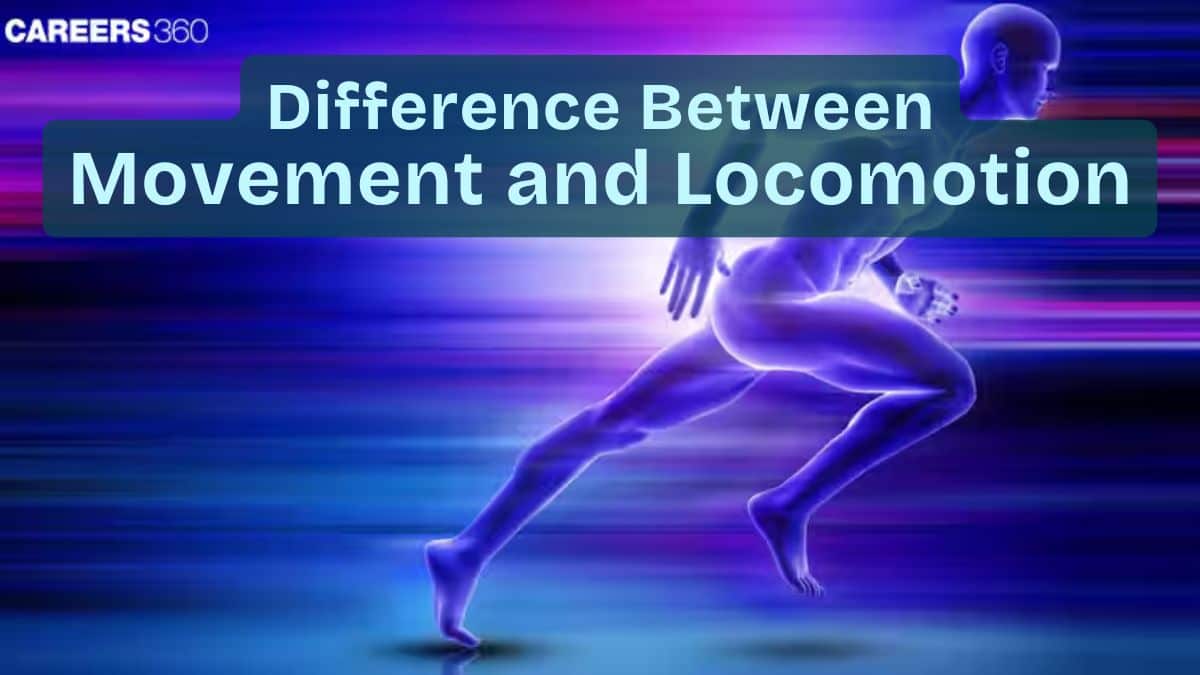 Difference Between Movement And Locomotion- Definition & Differences