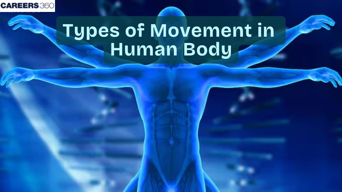 Types Of Movement In Human Body - Meaning, Concepts, Types