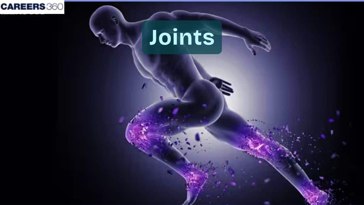 Joints-Definition, Anatomy, Movement, Types and Function