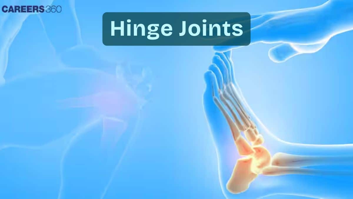 Hinge Joint- Definition, Types, Examples, FAQs, Movement