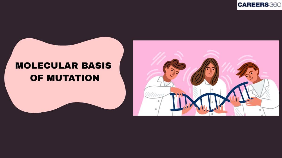 Molecular Basis Of Mutation: Mutation, Repair and Recombination