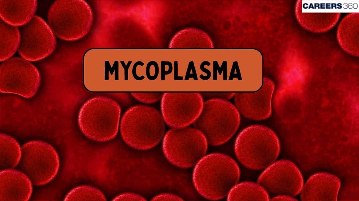 Mycoplasma: Causes, Symptoms, and Diagnosis, examples, Topics