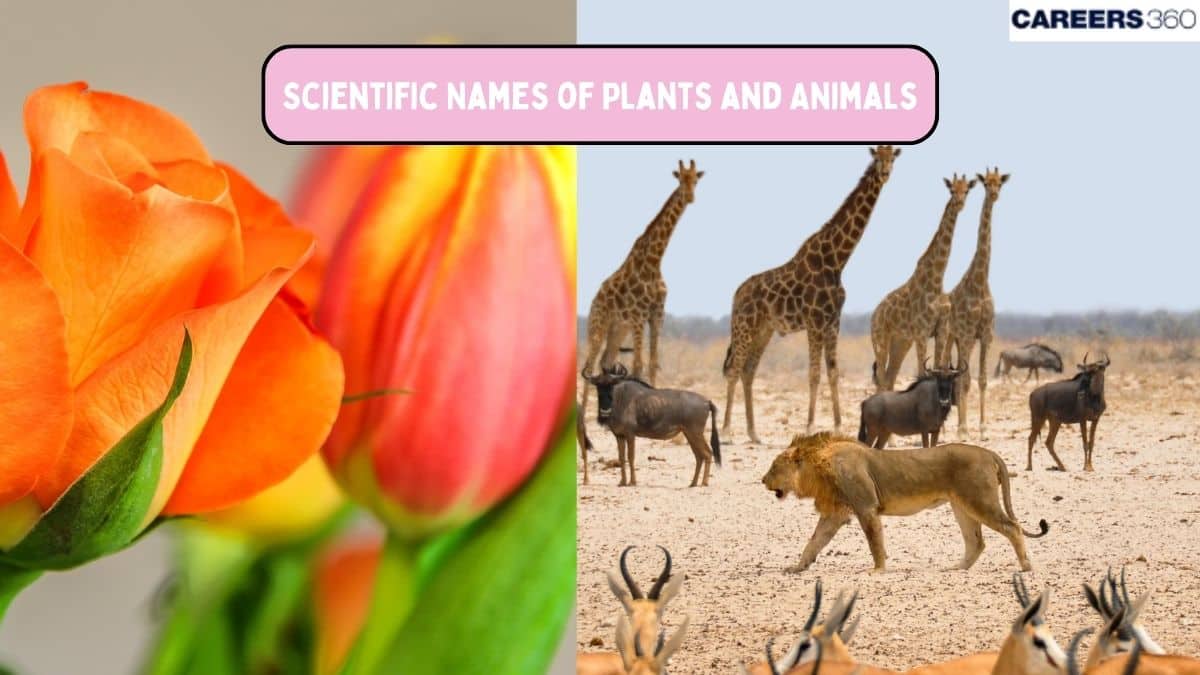 Scientific Names of Animals And Plants: Definitions, Complete Details