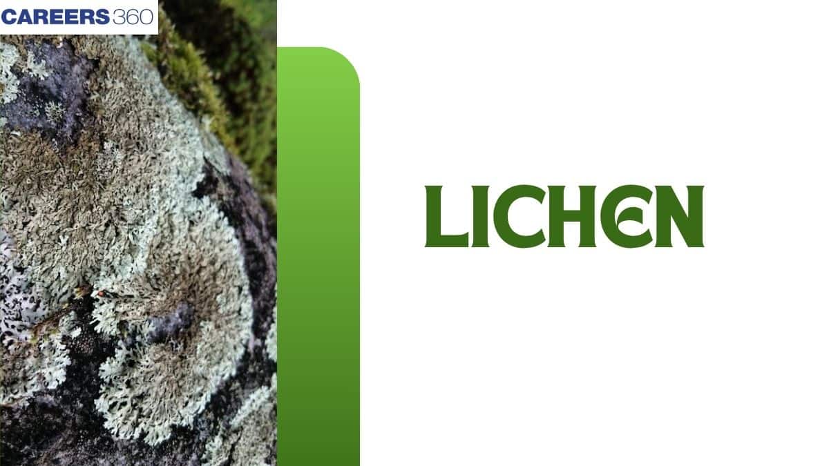 What are Lichens?- Types and General characteristics of Lichens