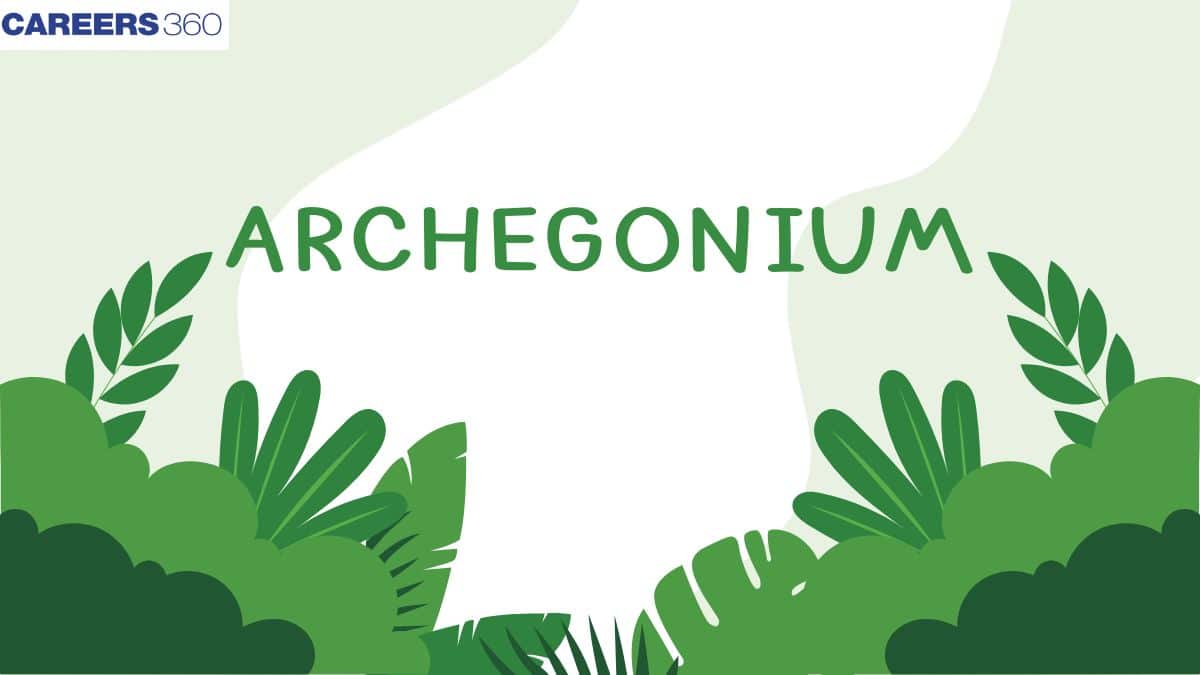 Archegonium - Structure & Defination