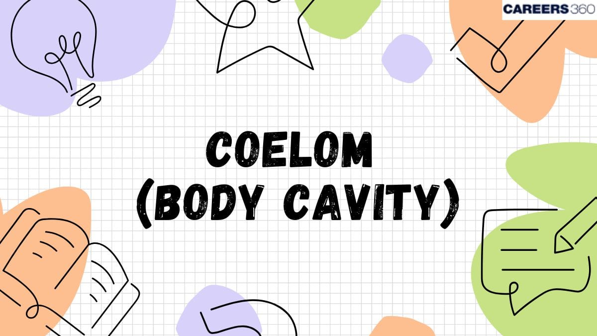 Coelom: Definition, Types, Structure, Coelomic Cavity, Function