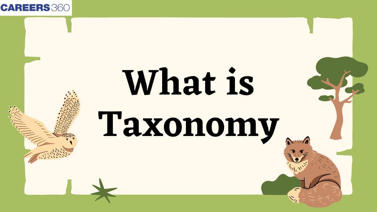 What is Taxonomy: Definition, Examples, Levels, & Classification