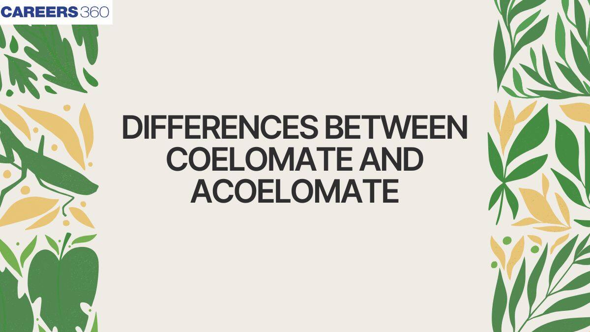Differences between Coelomate and Acoelomate - Example & Characteristics