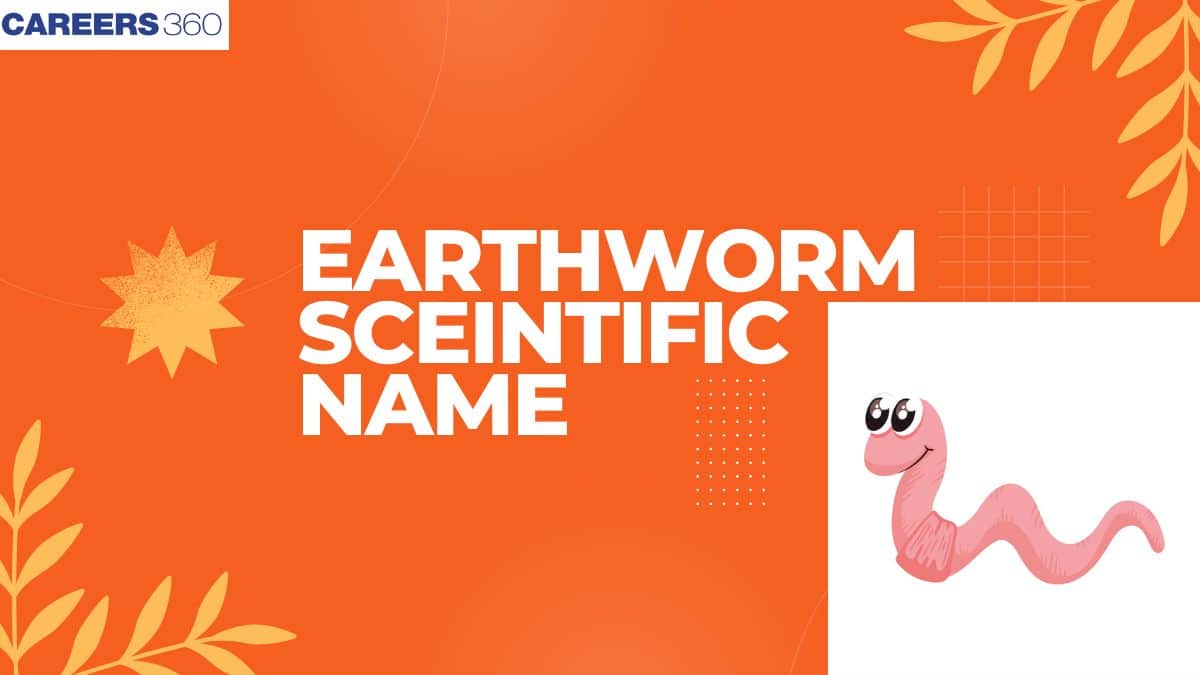 Earthworm Scientific Name: Classification, Morphology, Anatomy, Types