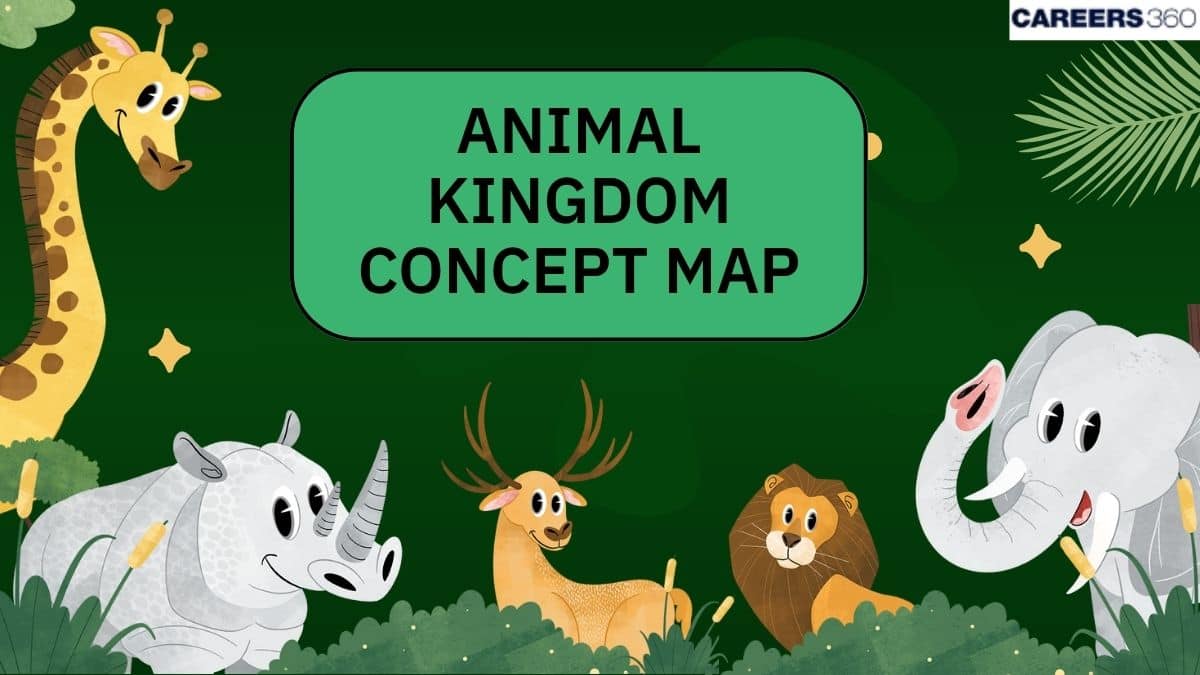 Animal Kingdom Concept Map - An Overview