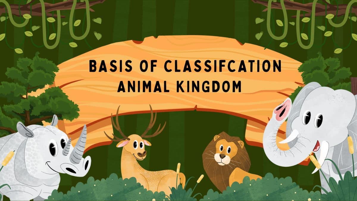 Animal Kingdom: Basis Classification