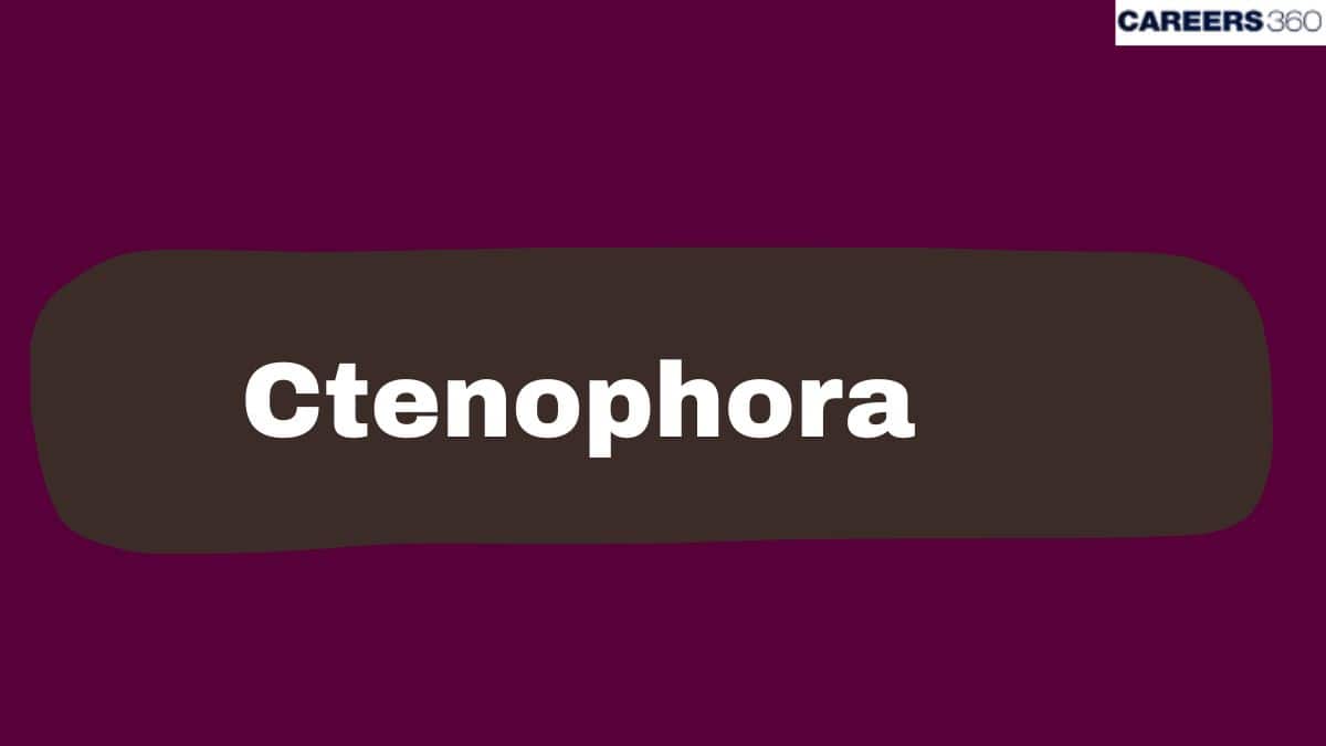 Ctenophore: Definition, Classification, Types, Characteristics, Adaptations