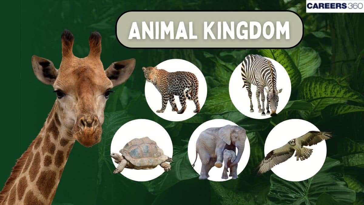 Animal Kingdom: Biology, Classification, Topics, Overview & MCQs