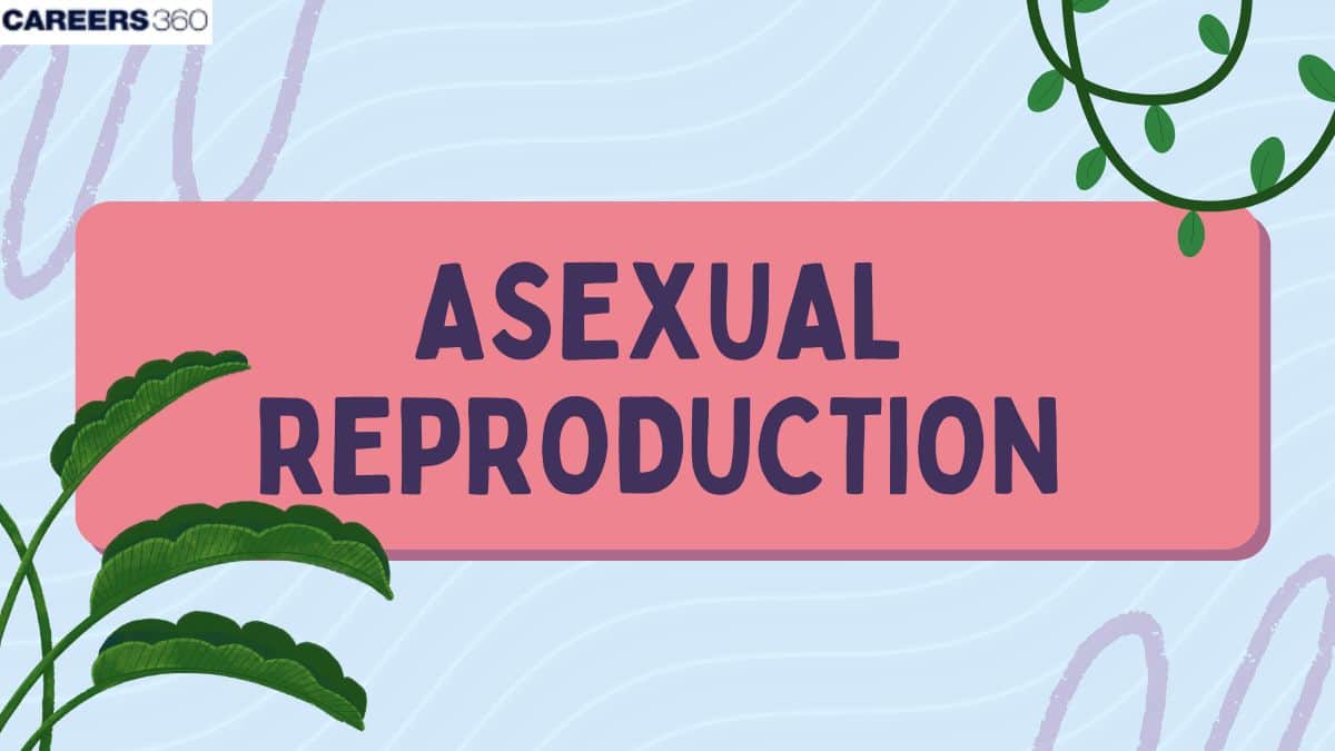 Asexual Reproduction - Advantages & Examples