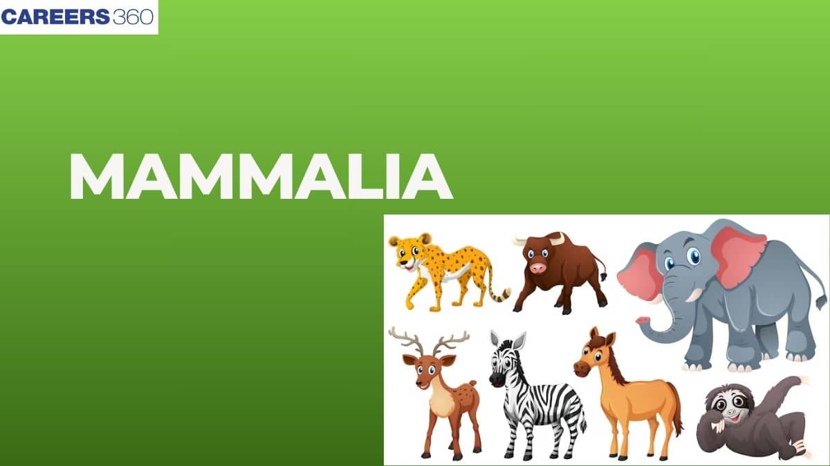 Mammalia - Definition, Characteristics, Classification, Examples, and ...