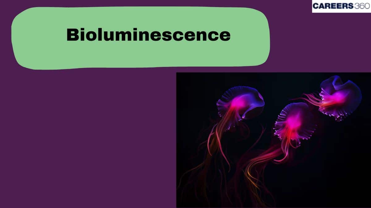 Bioluminescence: Causes, Examples, Facts, Topics, Definition & Meaning
