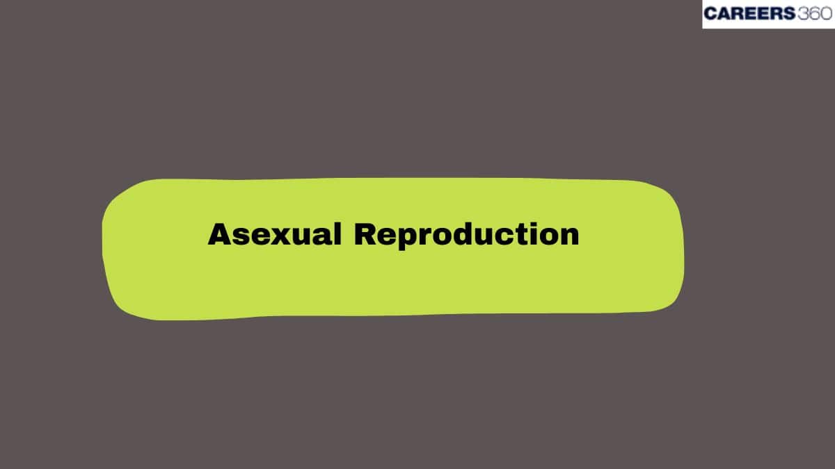 Asexual Reproduction in Animals: Examples, Advantages, Disadvantages