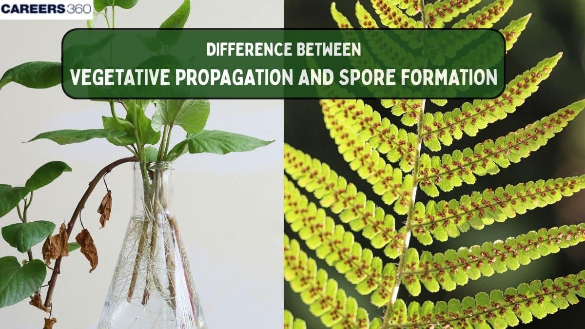 Difference Between Vegetative Propagation And Spore Formation ...