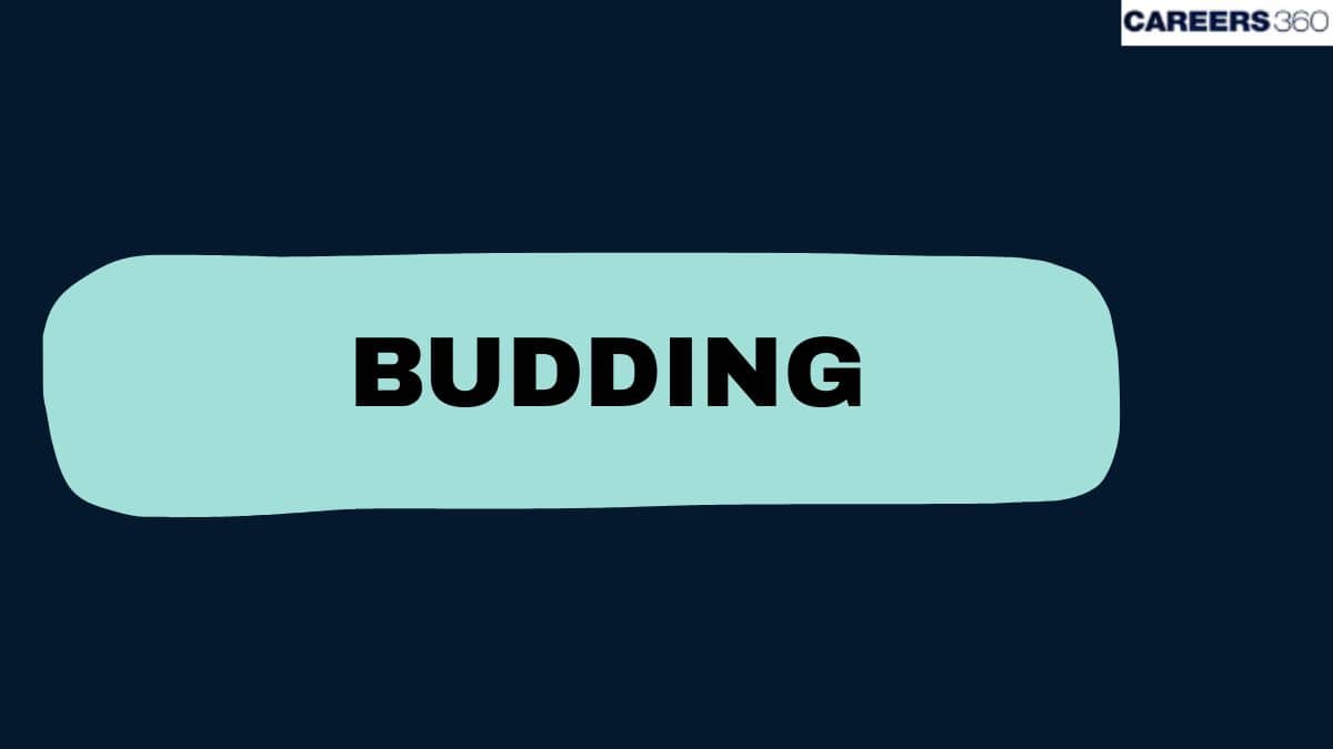 Budding: Definition, Meaning, Types, Example, Facts