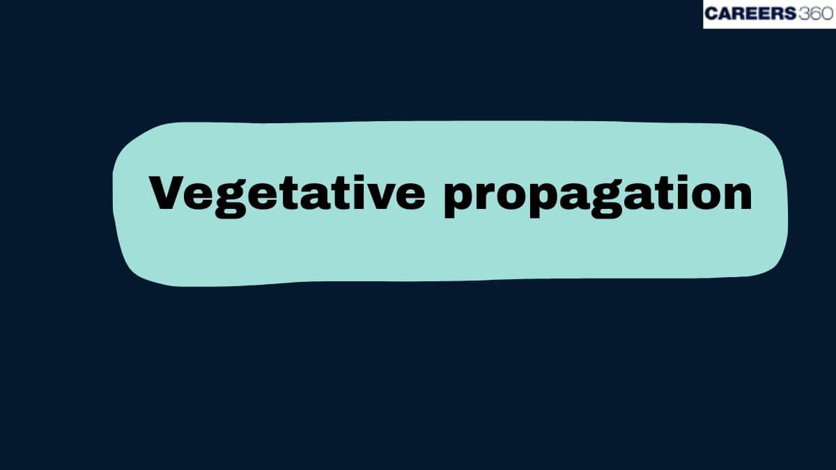 Vegetative Propagation - Natural And Artificial Methods: Definition ...