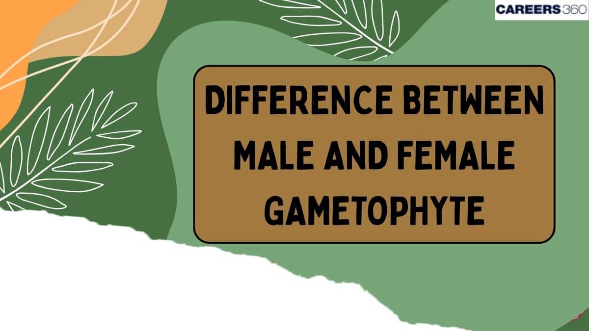 Difference between Male Gametophyte and Female Gametophyte: Definition ...
