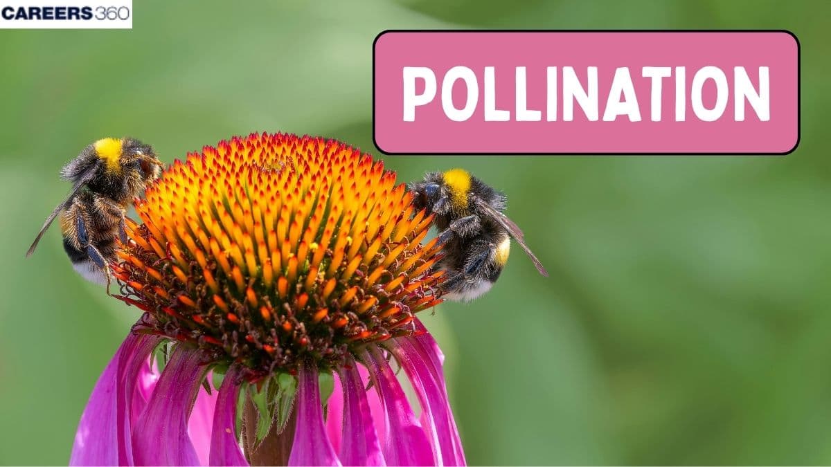 Pollination: Definition, Process, Types, Topics, Facts, Concepts