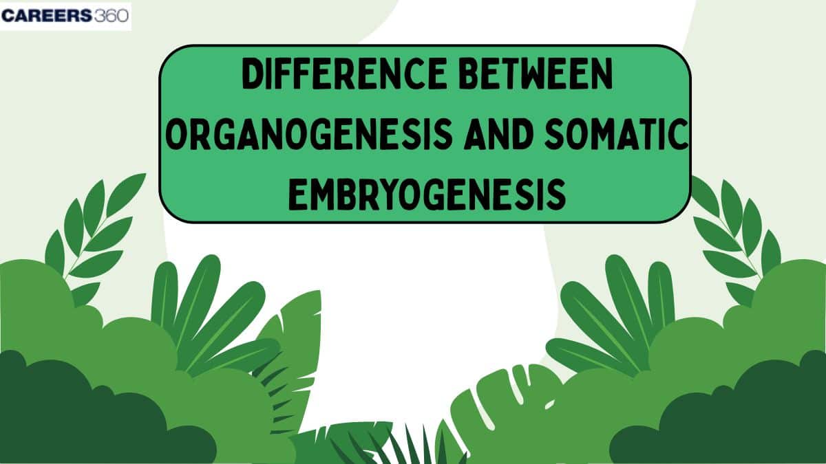 Difference Between Organogenesis And Somatic Embryogenesis: Process, Stages