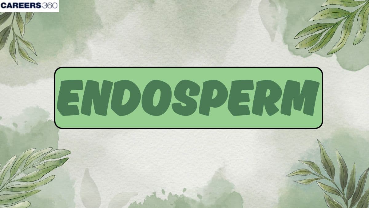 Endosperm
