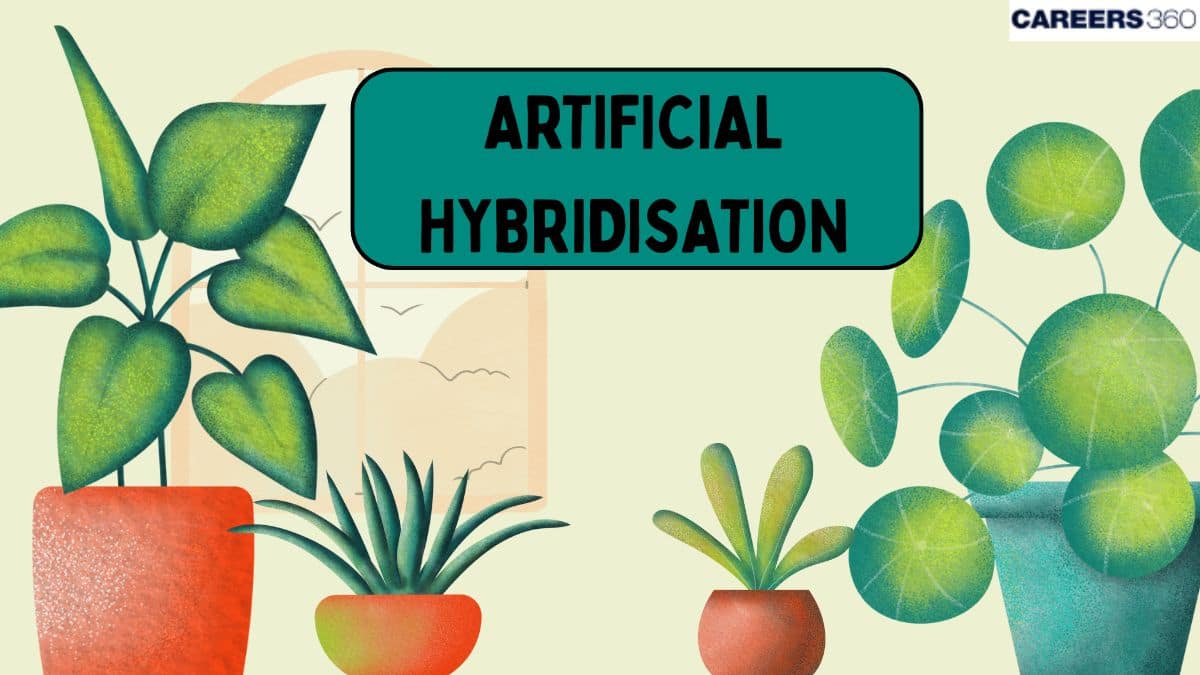 Artificial Hybridization in Plants - Emasculation and Bagging: Process ...