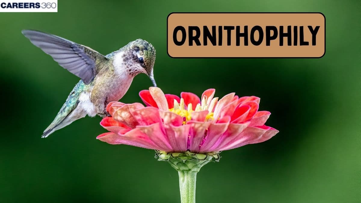 Pollination by Birds Ornithophily - Overview, Structure, Properties & Uses