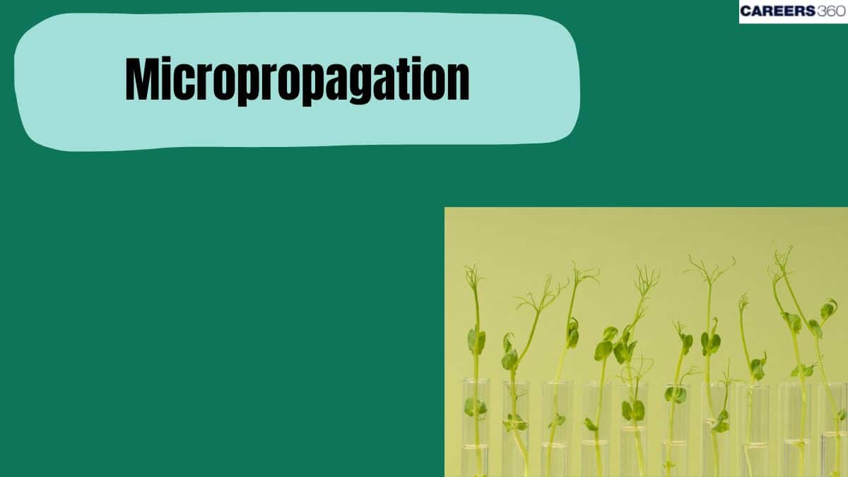 Micropropagation: Definition, Introduction, Parts, Structure ...