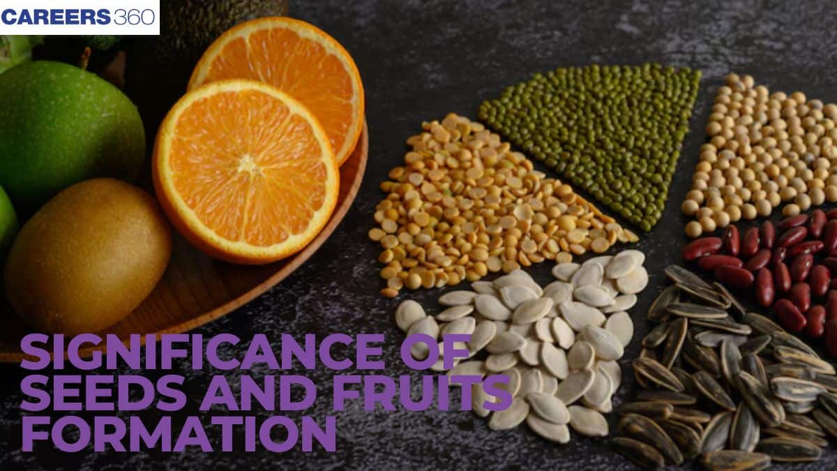 Significance of Seeds and Fruits Formation: Structure, Function, Importance