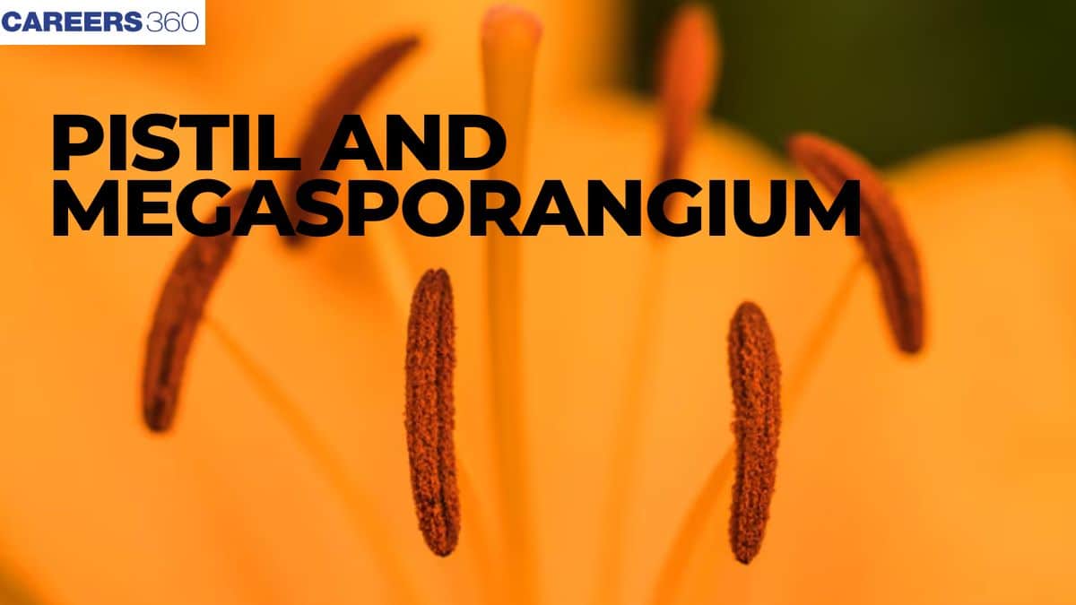 Pistil and Megasporangium: Definition, Structure, Types