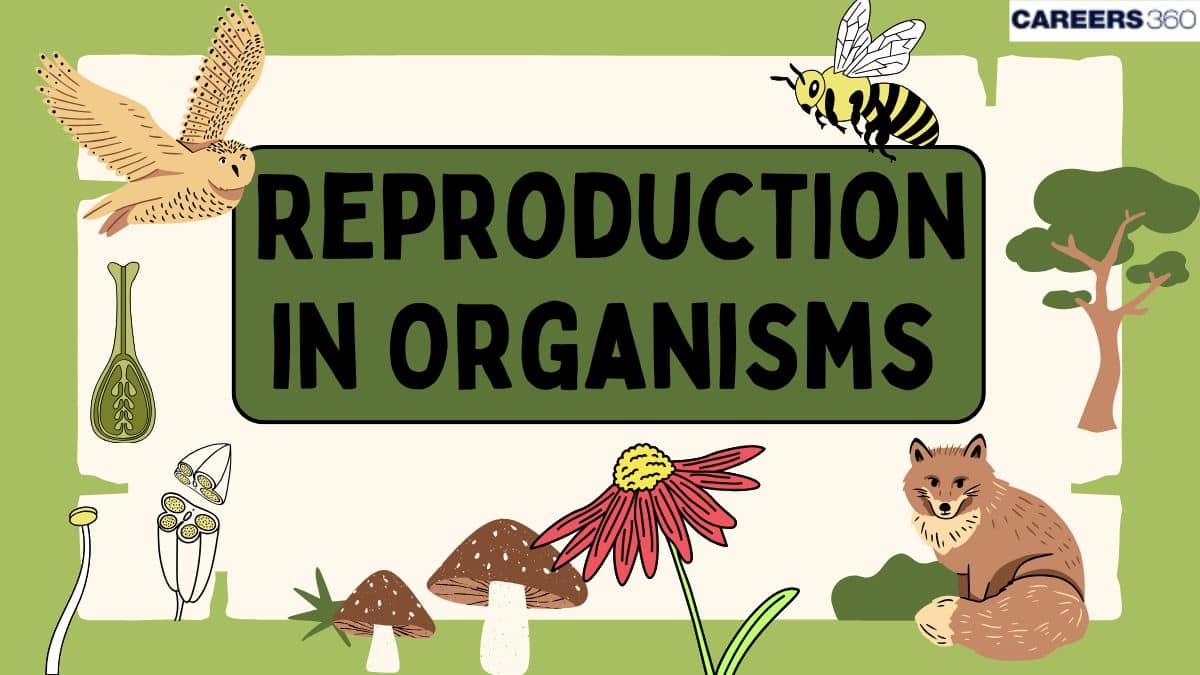 Reproduction In Organisms: Overview, Topics, MCQs, Tips, Books
