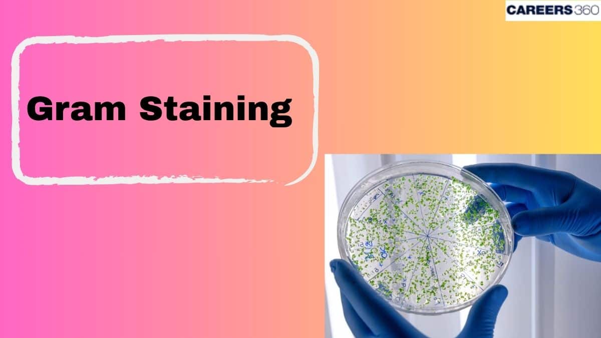 Gram Staining: Definition, Procedure, Facts, Topics, Diagram