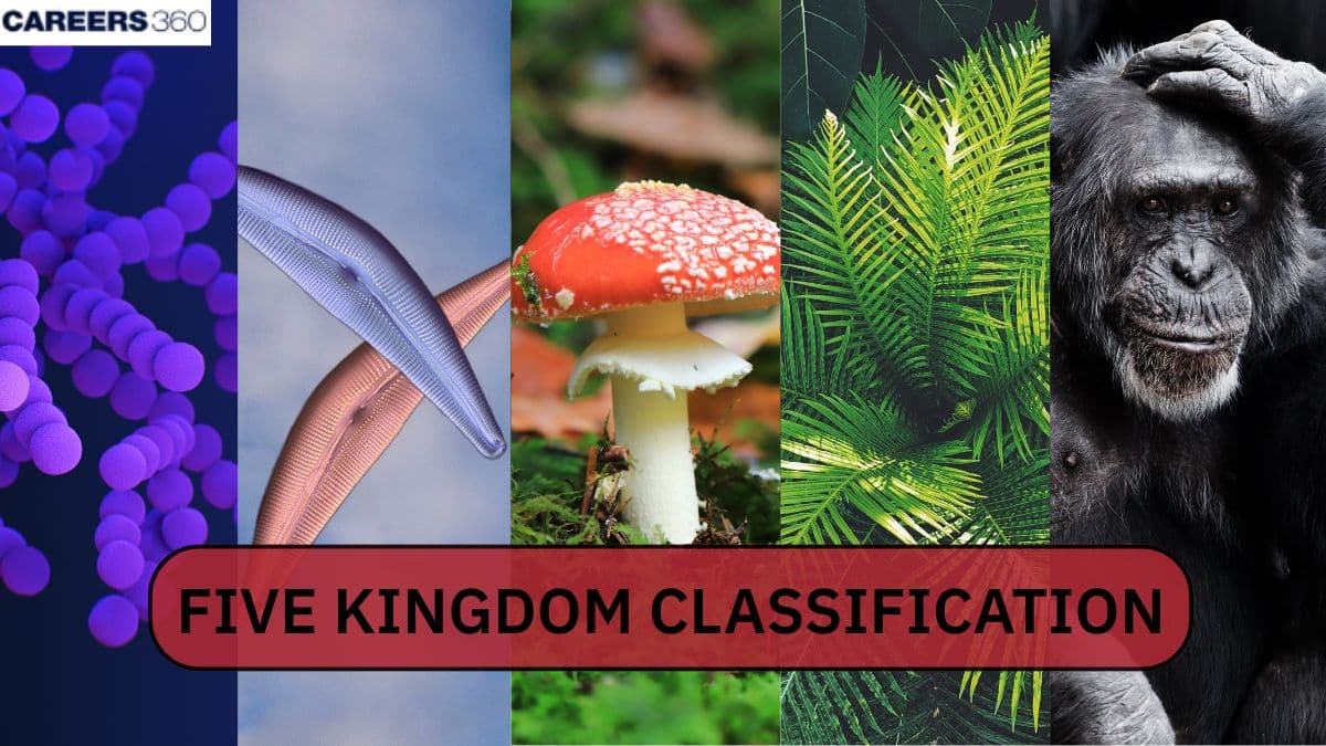 Five Kingdom Classification: Features, Types, Examples, FAQs
