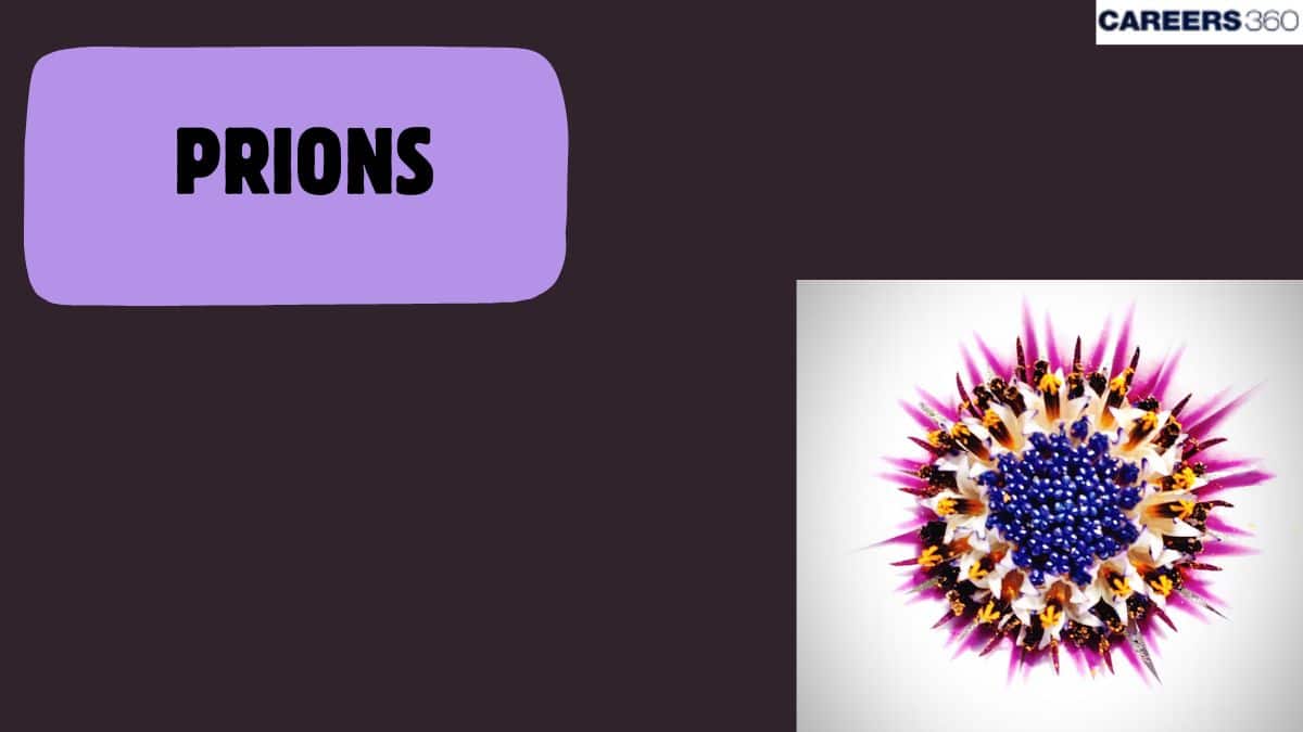 Prions: Definition, Examples, Meaning, Structure, Topic