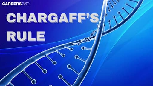 Chargaff Rule: Overview, Discoveries & Rules