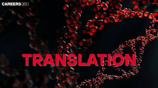 Process of Translation in Biology: Definition, Steps and Process