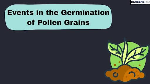 Events in the Germination of Pollen Grains: Definition, Meaning, Formation