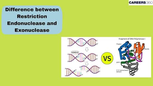 Differences Between Restriction Endonuclease and Exonuclease, Tabular ...