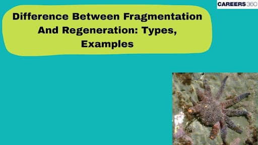 Difference Between Fragmentation And Regeneration: Types, Examples