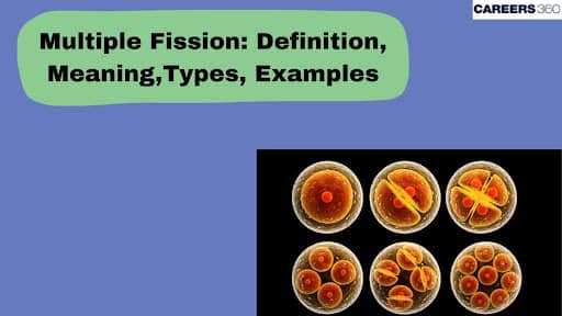 Multiple Fission: Definition, Meaning,Types, Exampale