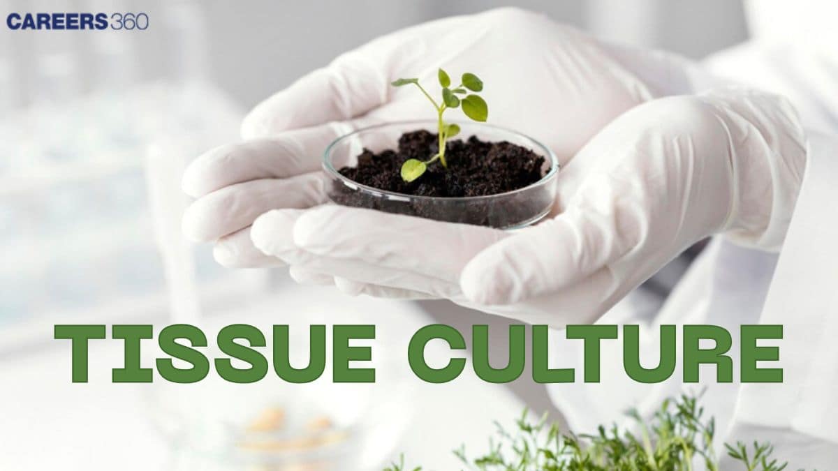 Tissue Culture: Definition, Types, Steps, Advantages, Examples, Diagram ...