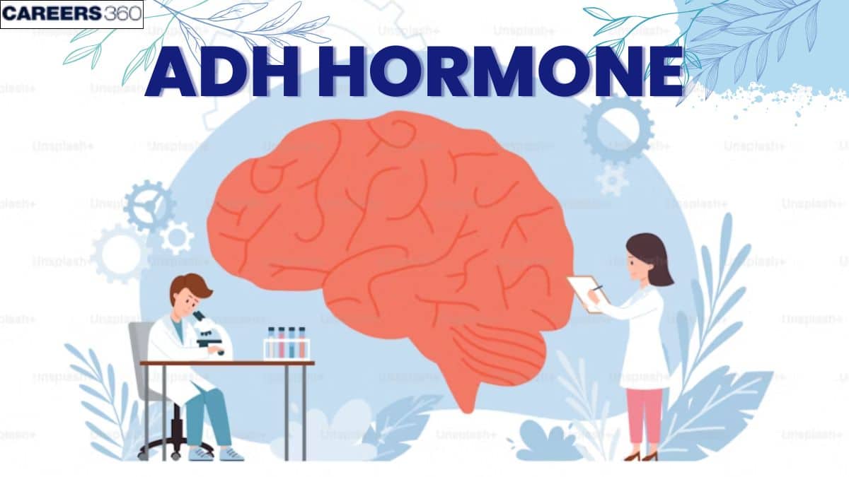 ADH hormone - Functions, Factors, Mechanism, Disorders and Levels