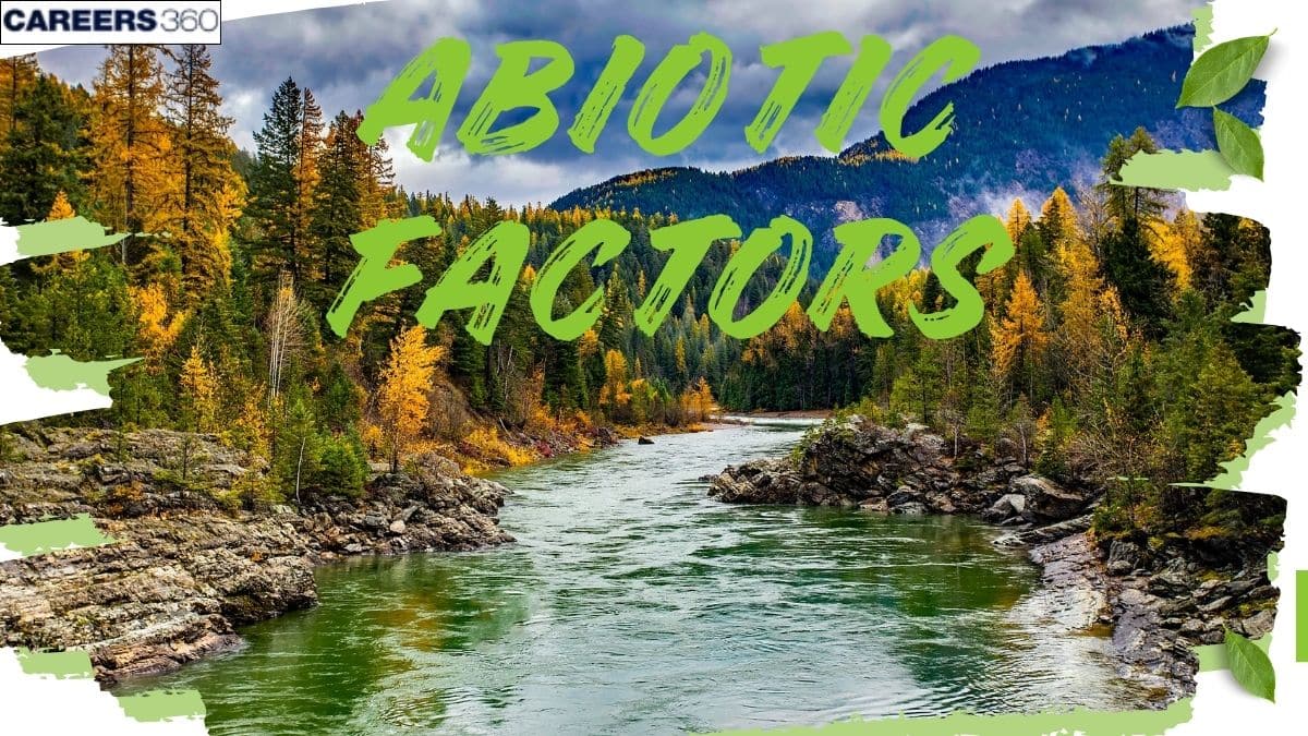 Abiotic Factors: Definition, Types & NEET Notes