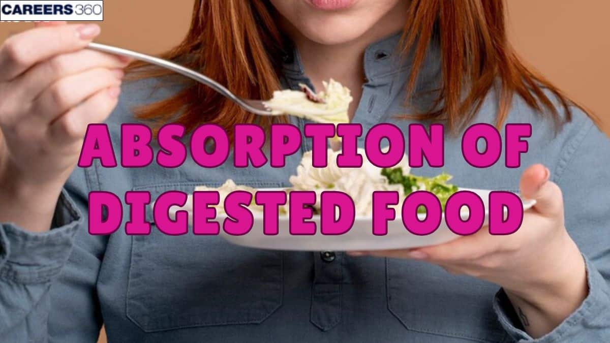 Absorption of Food in Human Body