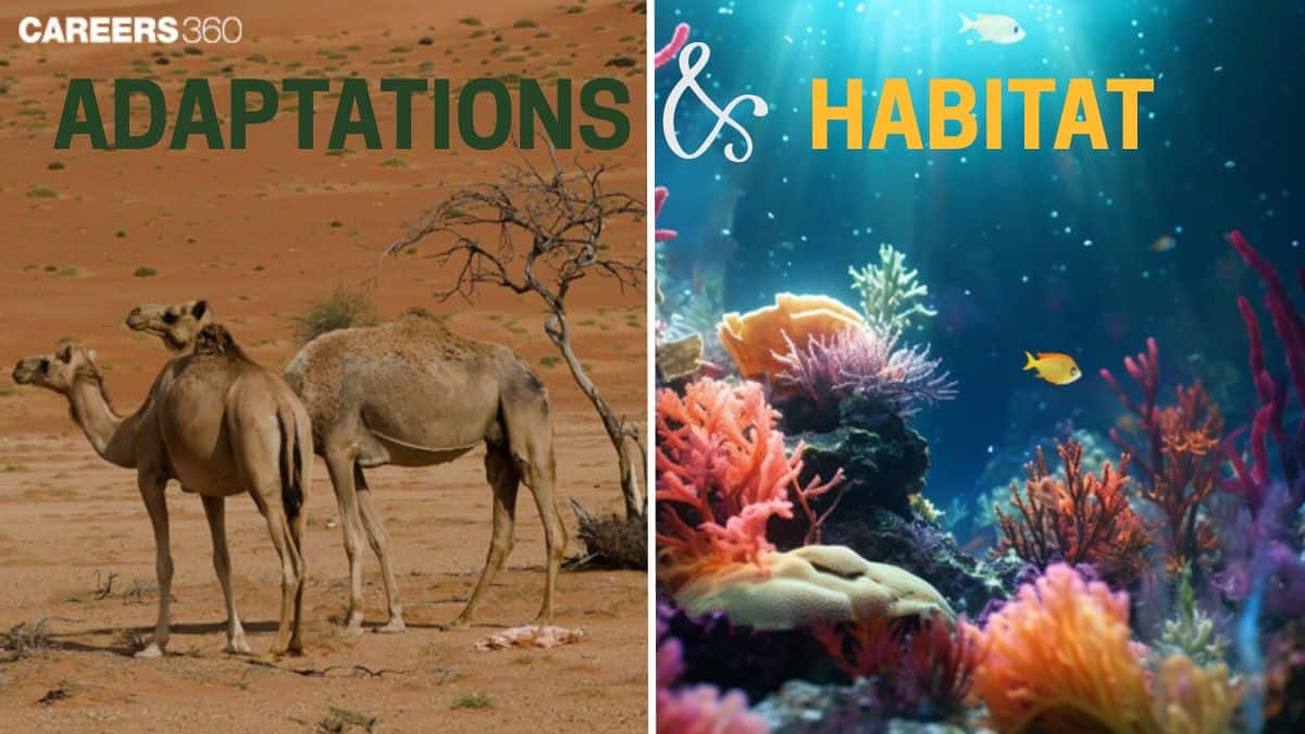 Adaptations - Meaning, Plant & Animal Adaptations