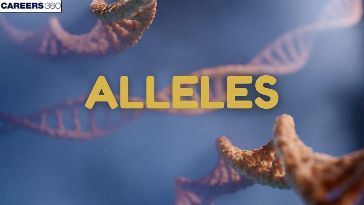 Allele Definition - What Is The Meaning Of Allele?